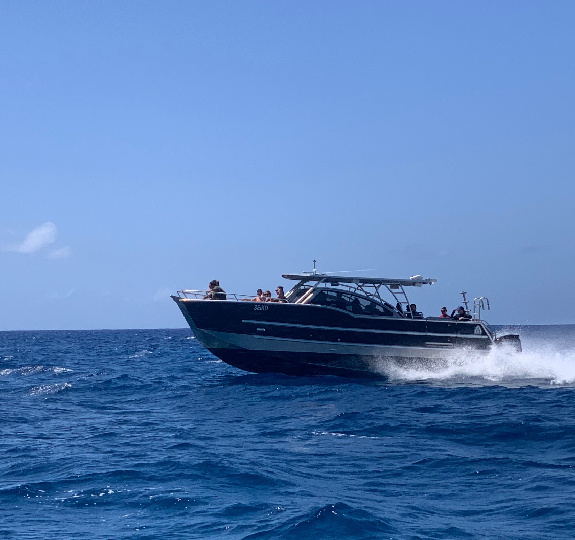 Na Pali Coast Group Catamaran Tours on the Seiko | Liko Kauai