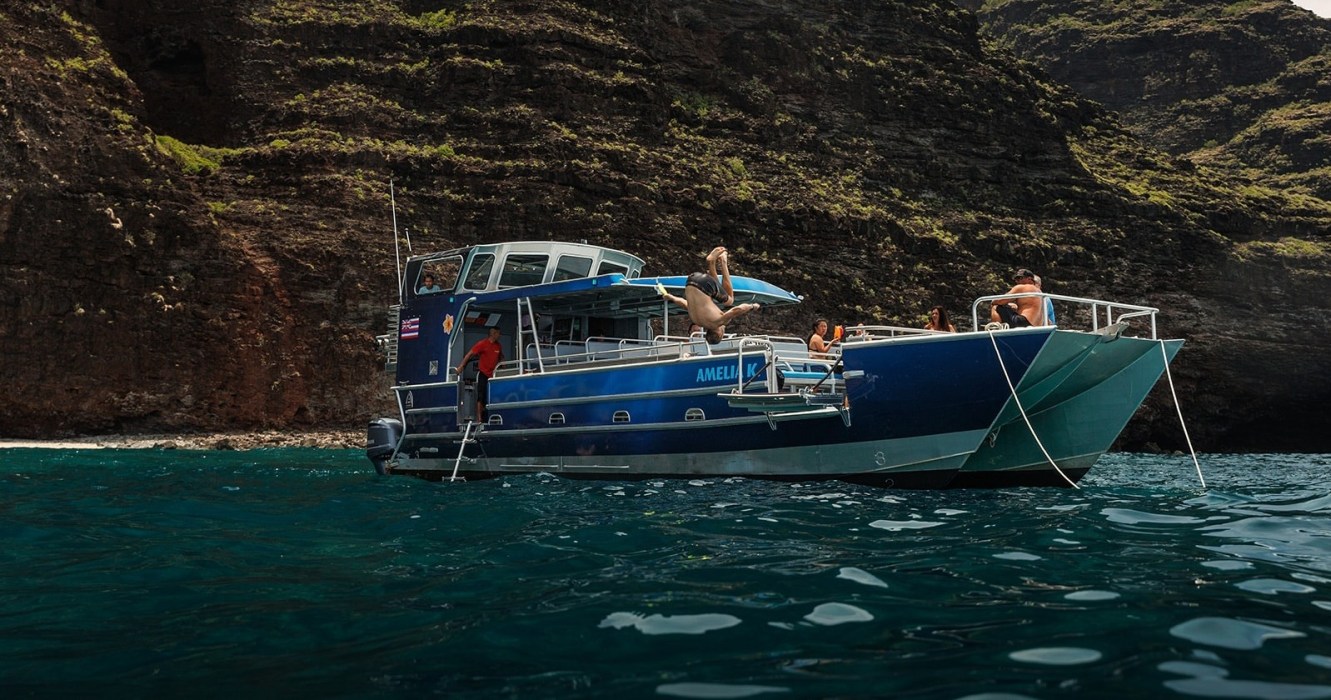 Na Pali Coast Group Catamaran Tour from Port Allen | Liko Kauai